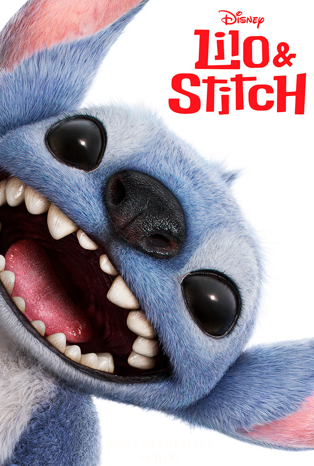 Lilo-stitch | Kino Ros Torv